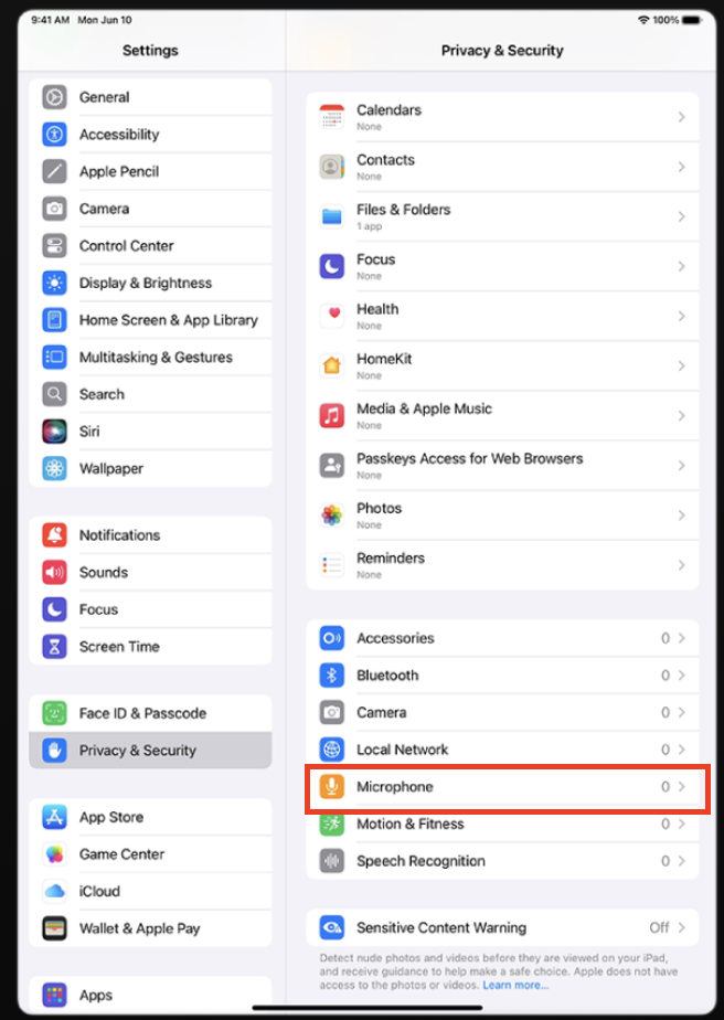 How To Check And Adjust Audio & Microphone Settings